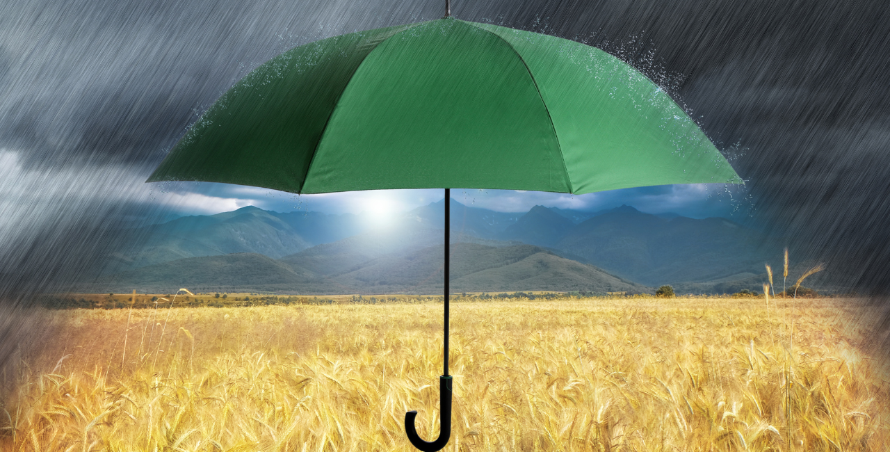 Navigating Extreme Weather: How Food Wholesalers and Distributors Adapt ...